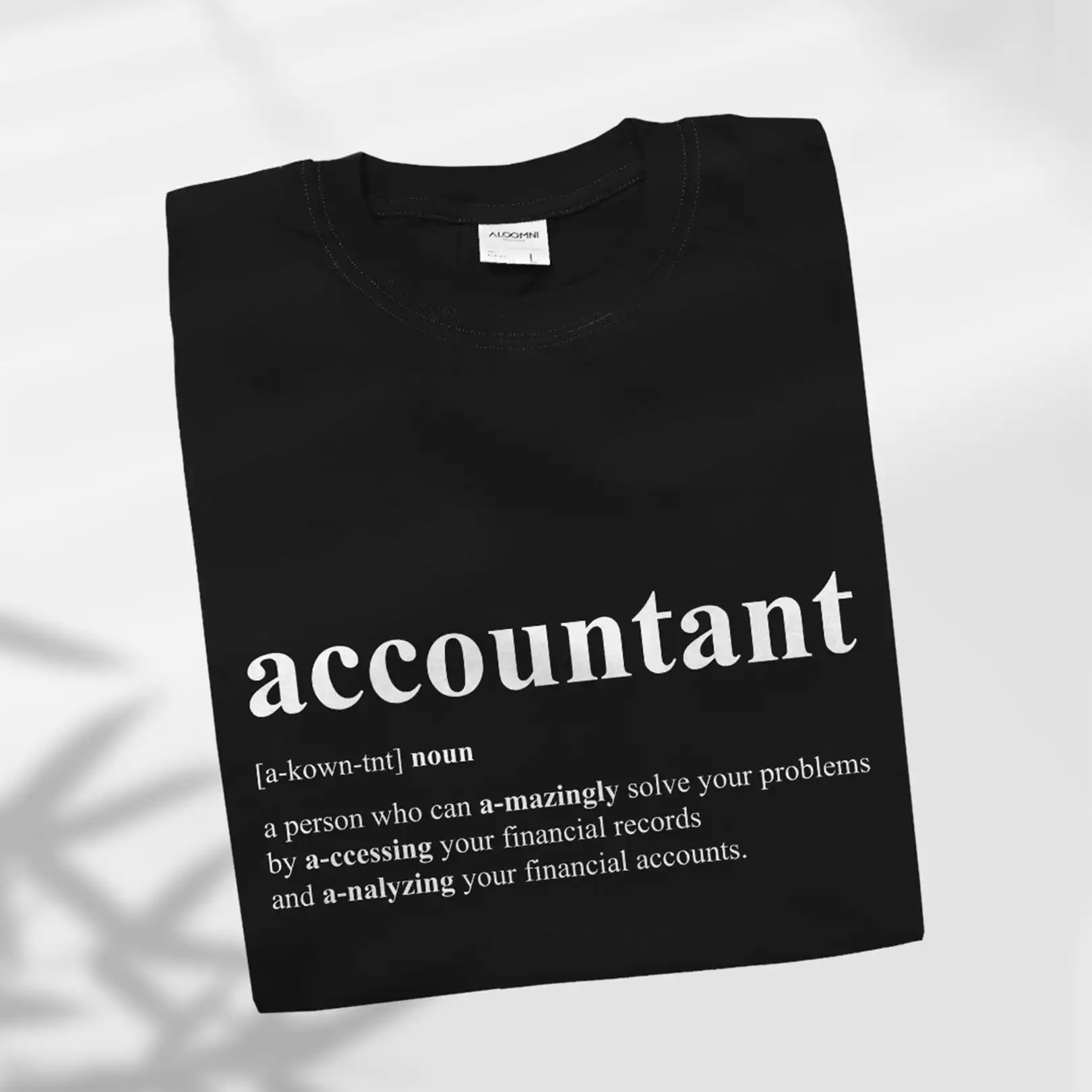 Accountant Noun – Aloomni